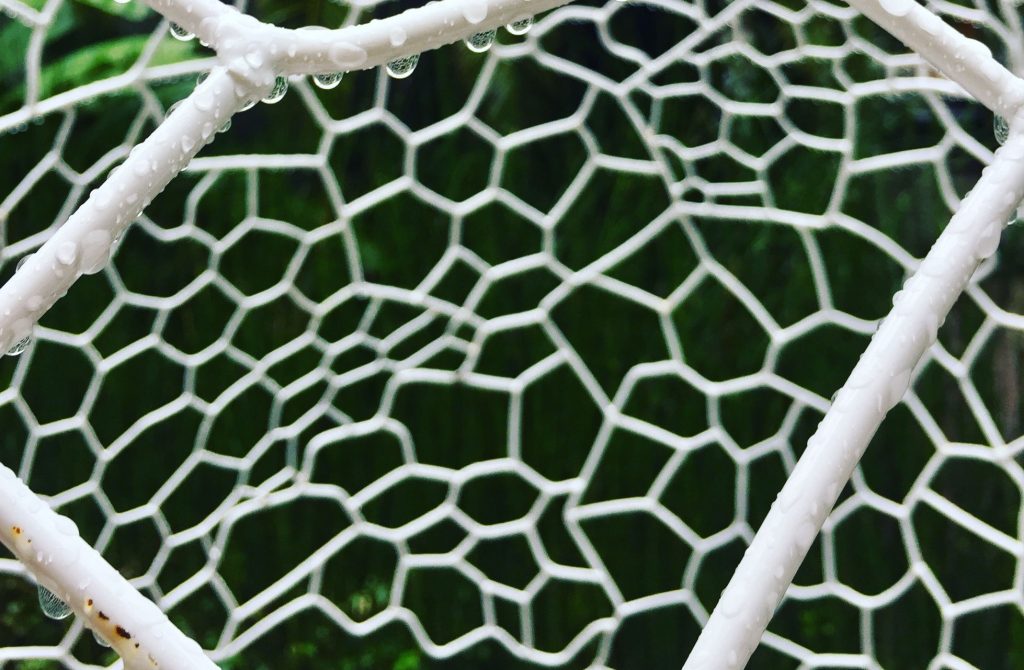 BADA SHOP: el arte como refugio – El Planeta Urbano