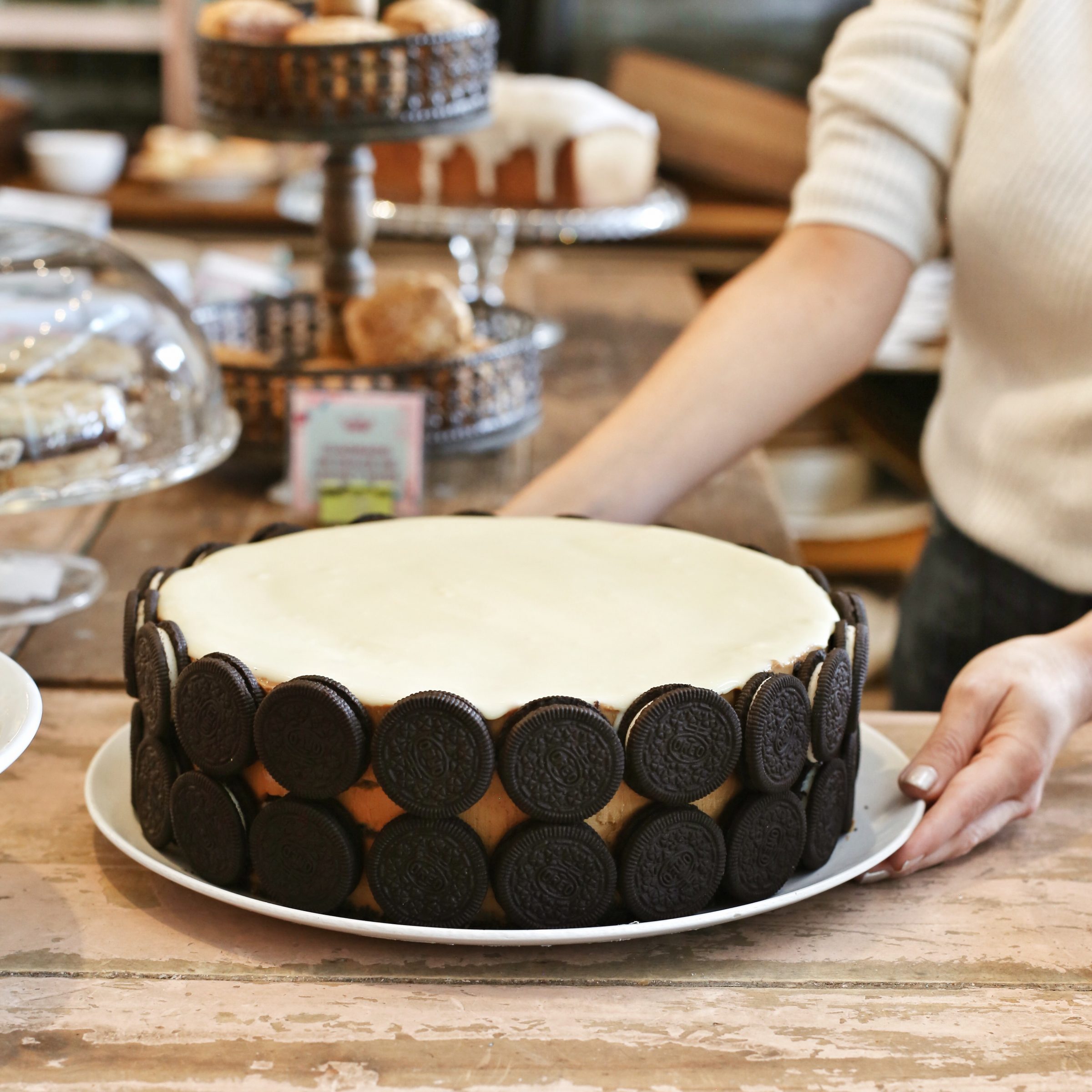 TEMPORADA DE TORTAS EN PANI – El Planeta Urbano