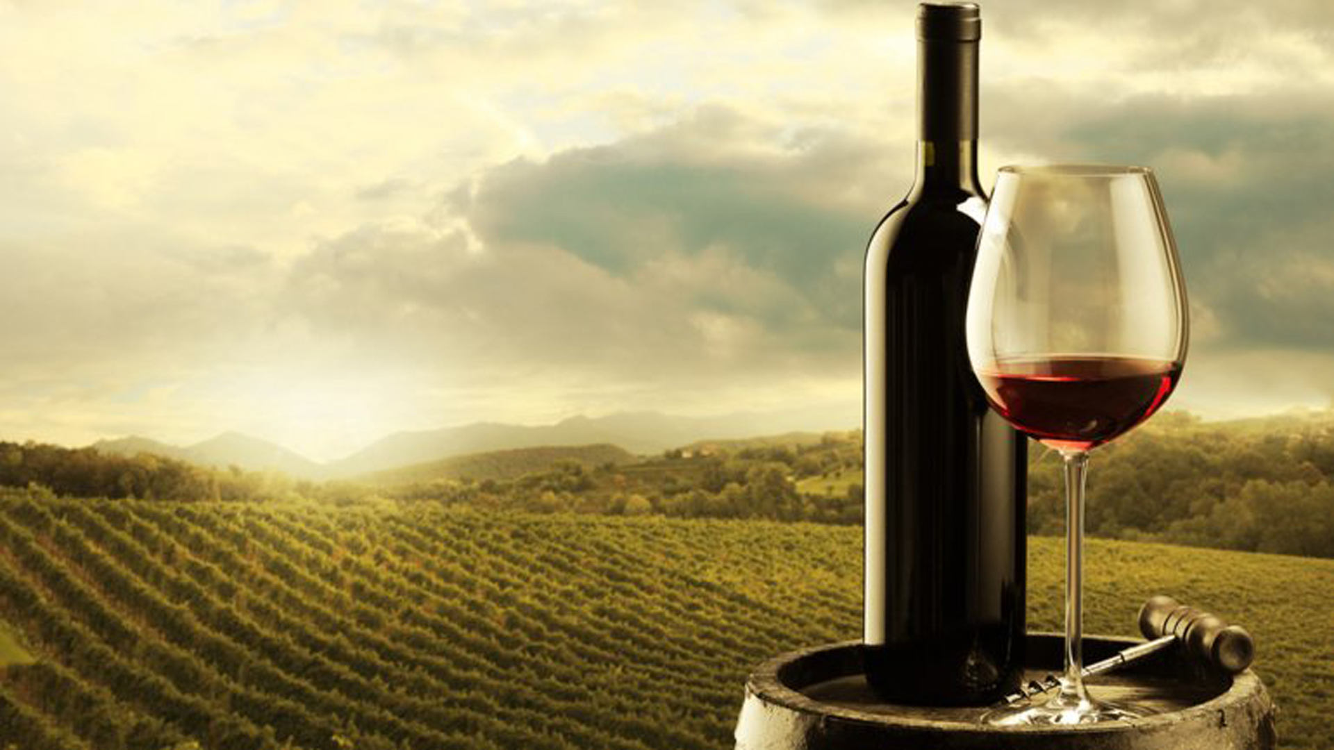 El Malbec es Mundial | EPU